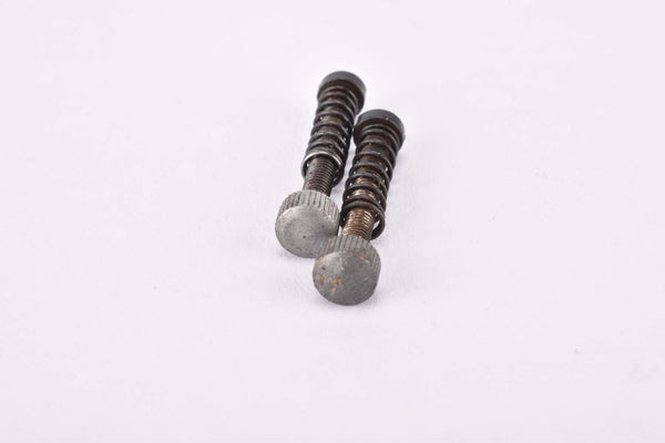 Campagnolo short fork ends drop out adjusting screws in 24 mm ...