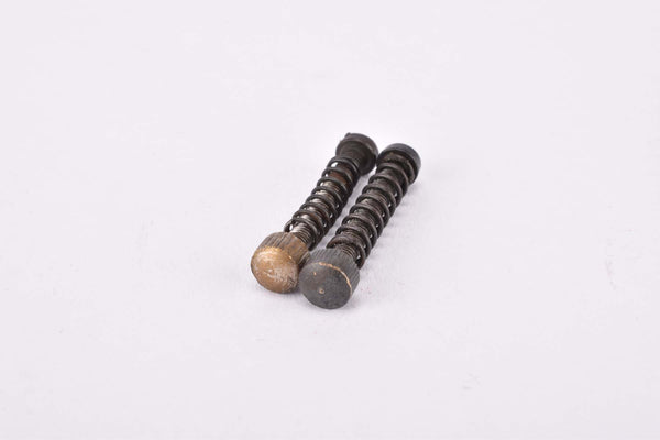 Campagnolo short fork ends drop out adjusting screws in 24 mm ...