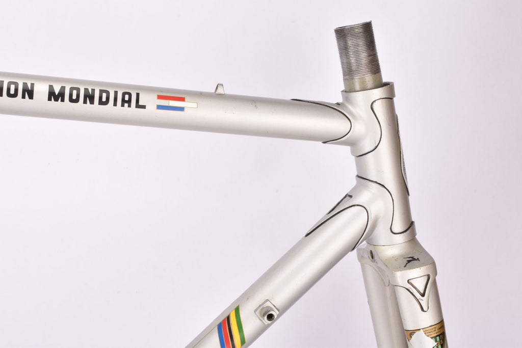 Grey Gazelle Champion Mondial "AA-Frame" road bike frame set in 53 cm ...
