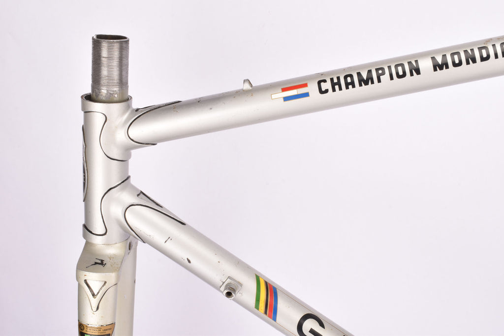 Grey Gazelle Champion Mondial "AA-Frame" road bike frame set in 53 cm ...