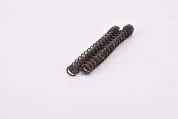Campagnolo drop out adjusting screws in 35 mm – Velosaloon.com
