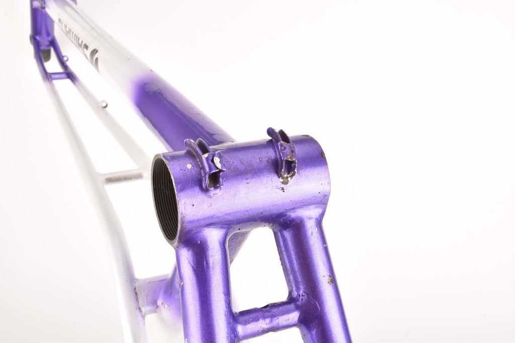 Shimano Mixte frame in 53 cm (c-t) – Velosaloon.com